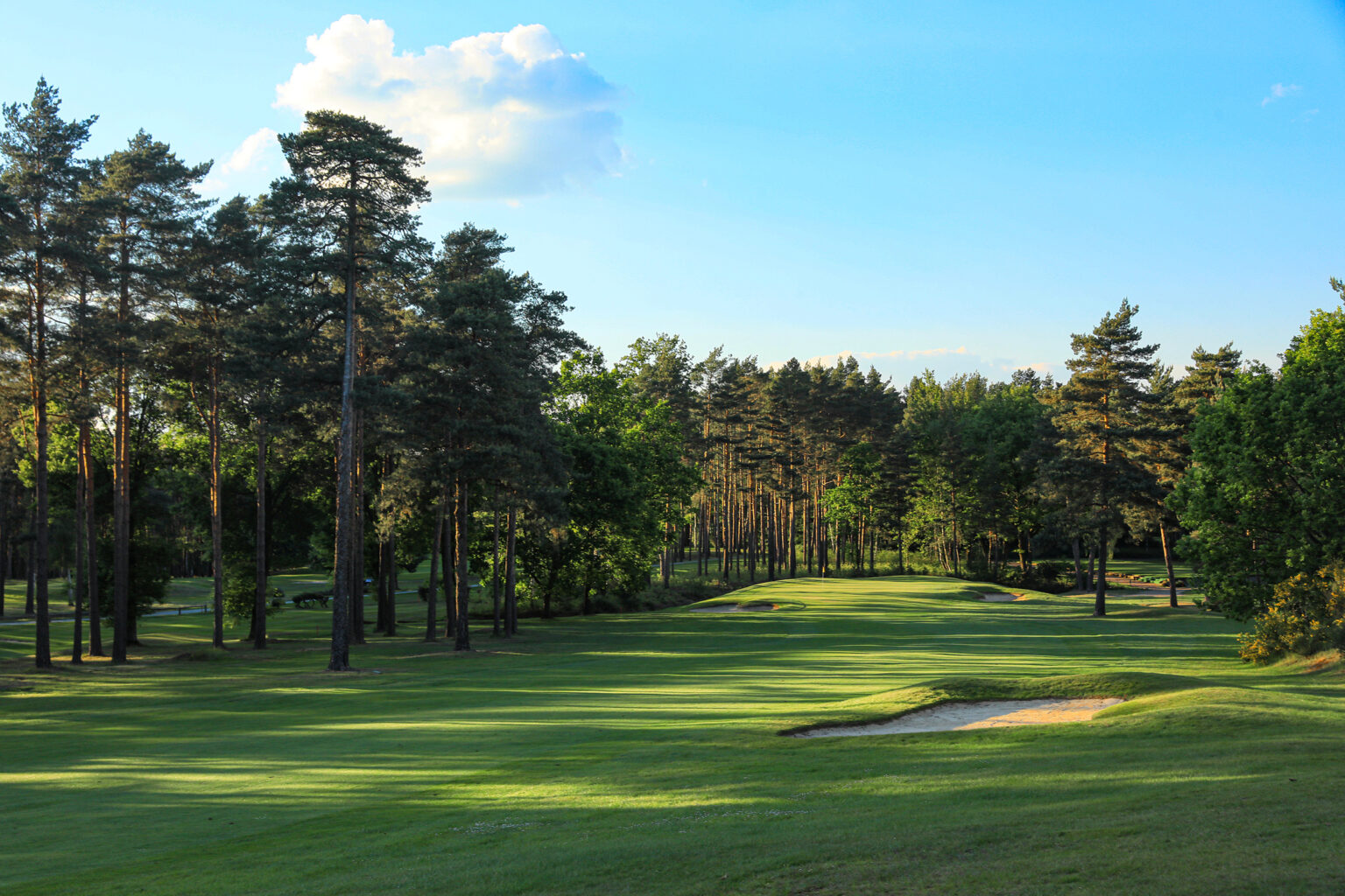 Holidays - Fairways Mixed Golf